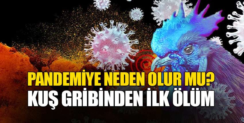 Dünyada kuş gribi kaynaklı ilk insan ölümü gerçekleşti: Kuş gribi ...