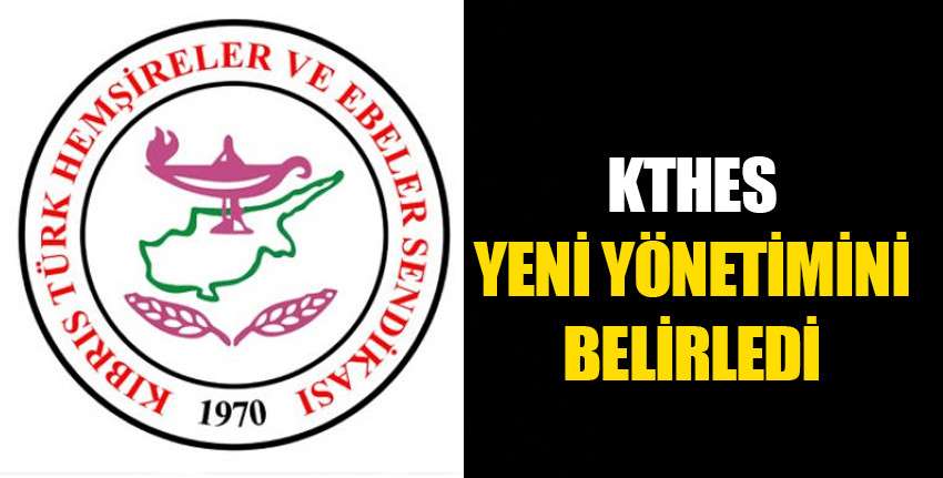 Hemşireler ve Ebeler Sendikası, Yönetim Kurulu, Disiplin Kurulu ve ...